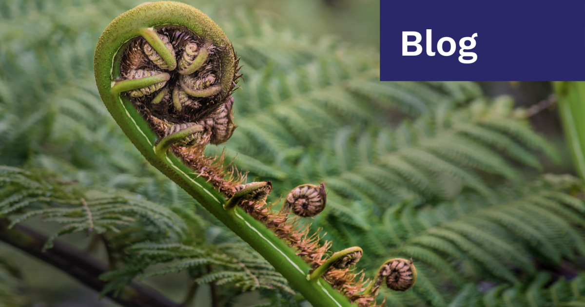 Circular Economy ISO standard to bring certainty