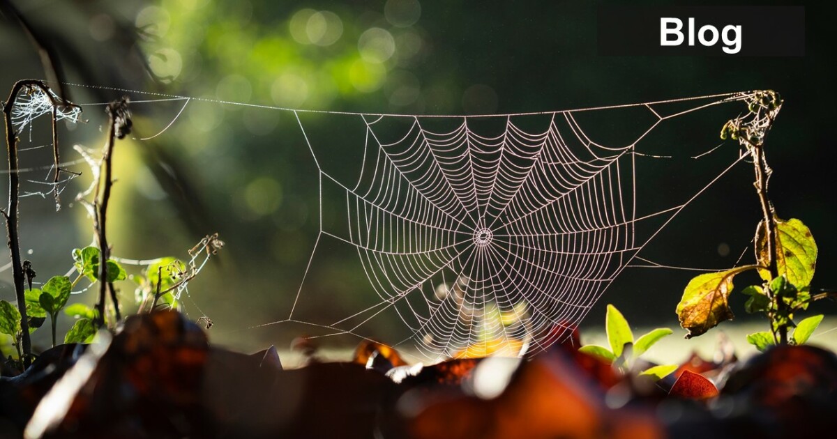 2023: Year of the Supply Web | thinkstep-anz