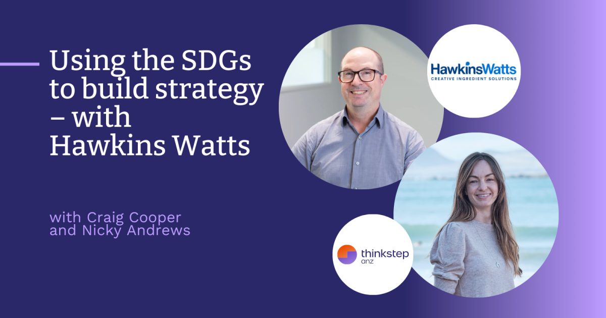 Using the Sustainable Development Goals to build strategy – with Hawkins Watts | thinkstep-anz