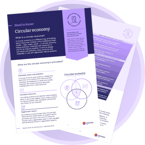Circular Economy – what you Need to Know | thinkstep-anz
