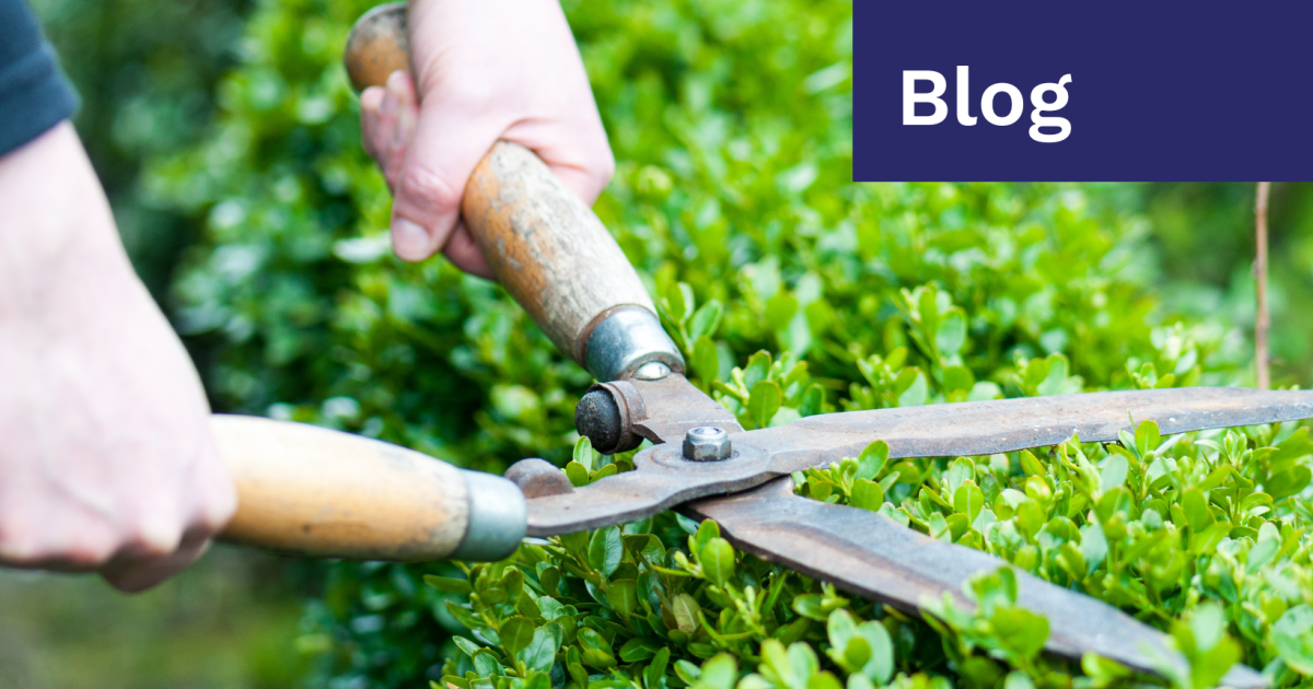 Scope 3 emissions – tackle them like your garden hedge